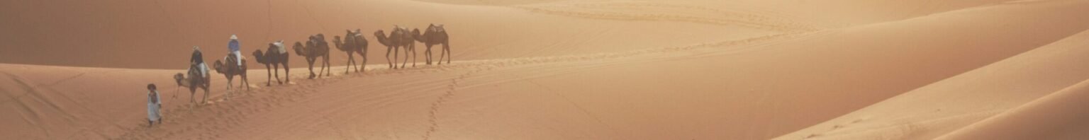 Farming In The Moroccan Sahara: Turning Sands Into Fields Of Hope